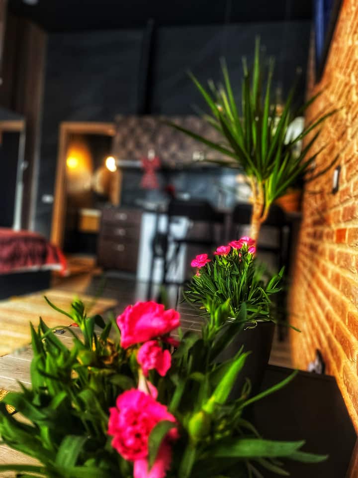 New Superior Loft Valencia: Ruzafa - Torrent