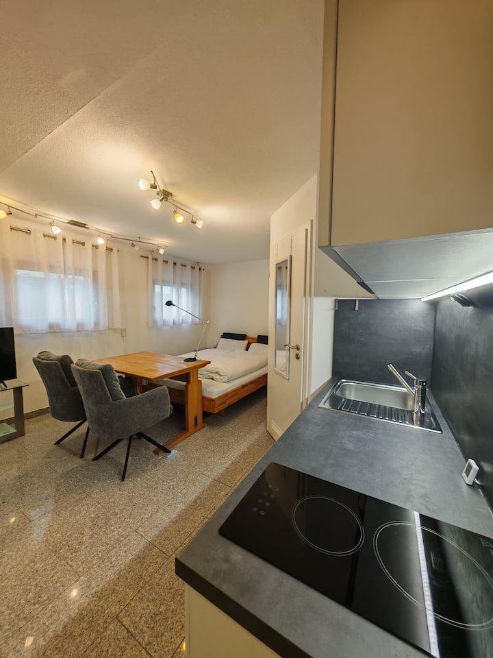 Appartement Mit Küche Und Bad - Leonberg