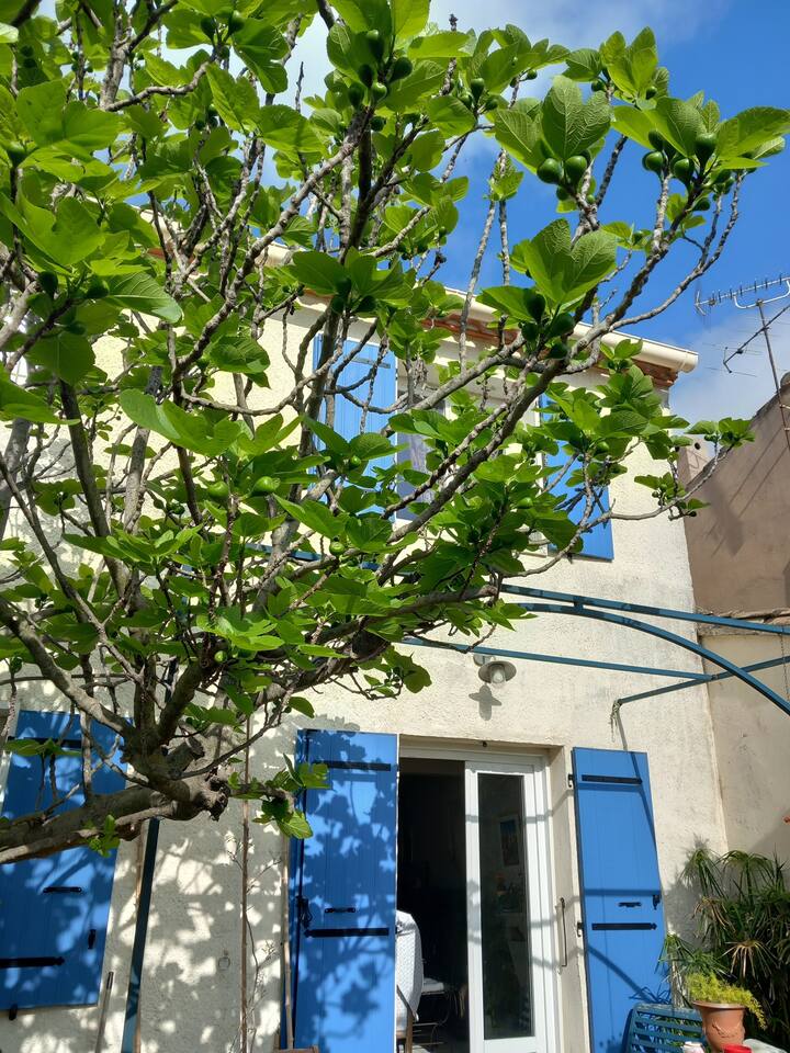 Maison Avec Jardin - Lunel