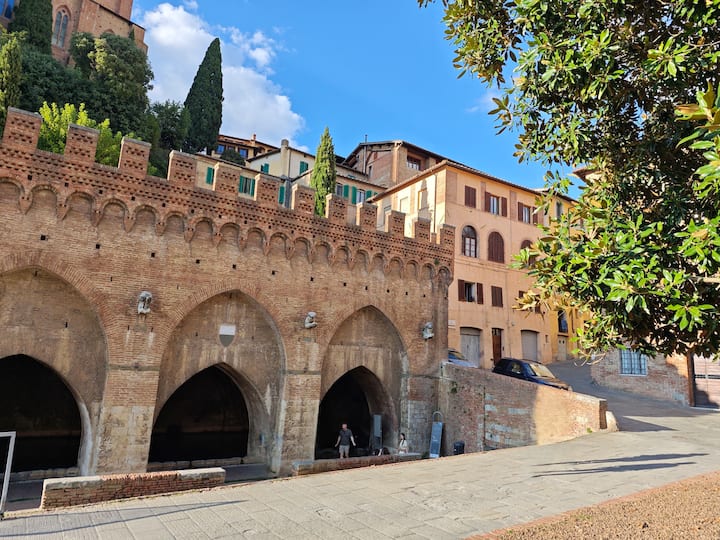 Appartamento Sopralefonti - Siena