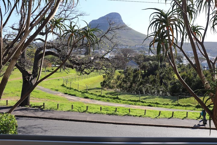 Table Mountain View - 開普敦