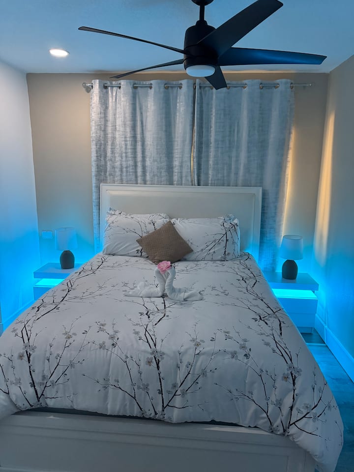 Estudio Del Encanto - Temple Terrace, FL