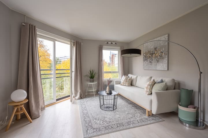 Central 2br Apt By The River - Oslo