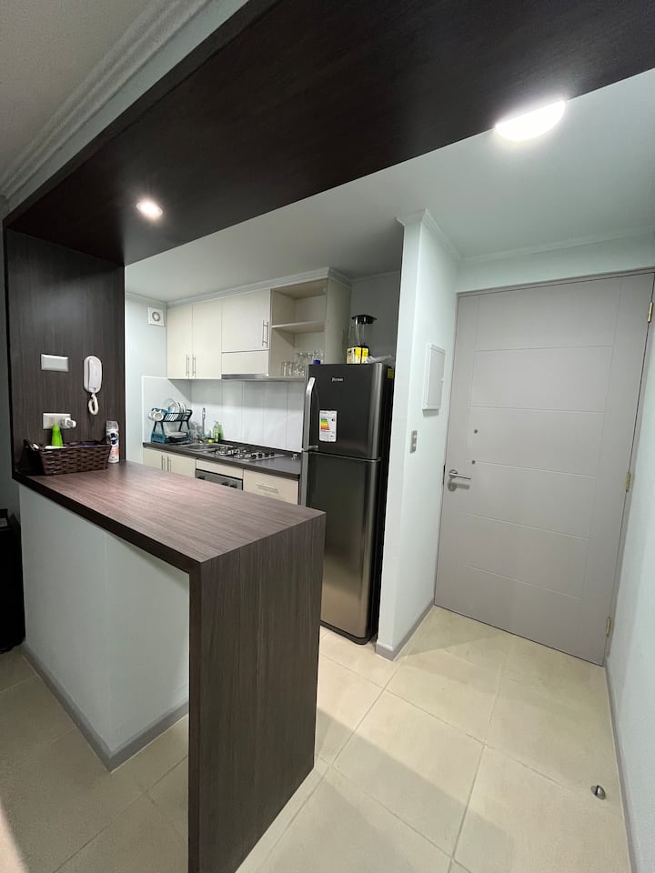 Depto. Céntrico 3d 1 Baño - Chillan
