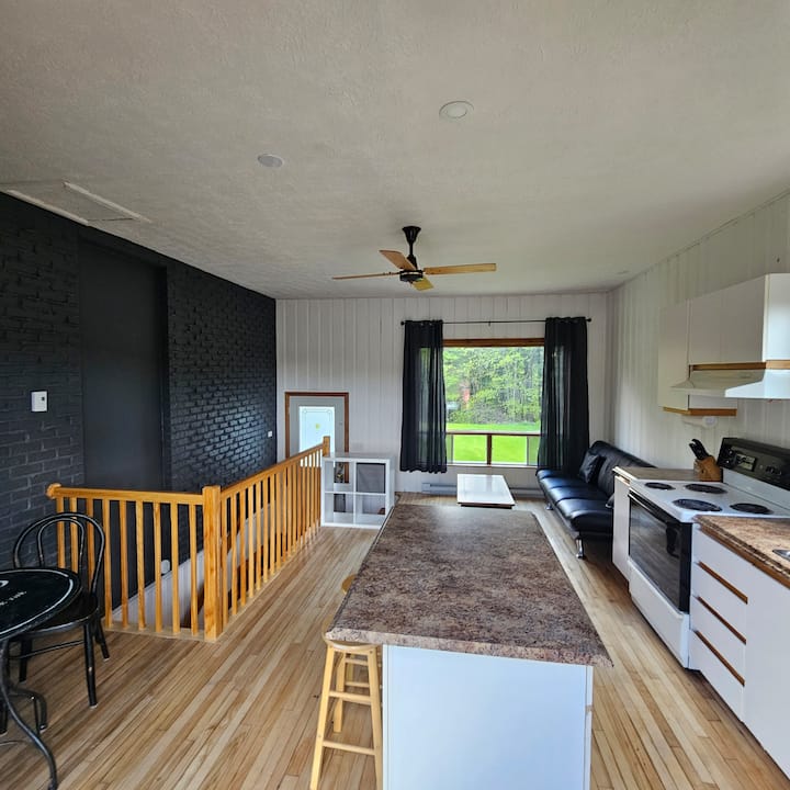 Loft Sur 2 éTages - Sherbrooke