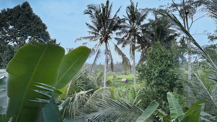 Deleni  Private  Invinity Pool - Bali