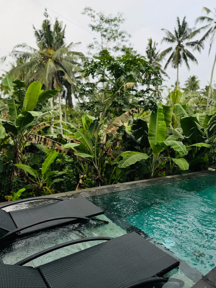 Deleni Villa Ubud - Bali
