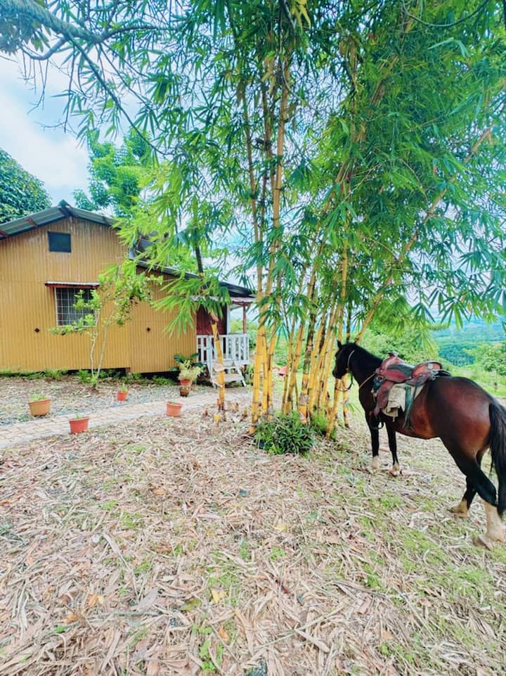 Ednilandia Farm Stay - Malaybalay
