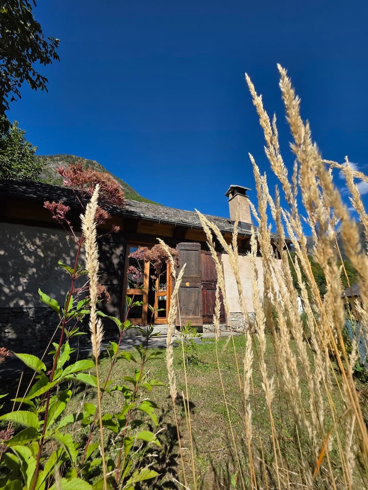 Al Noce - Casa Vacanze Olivone - Olivone