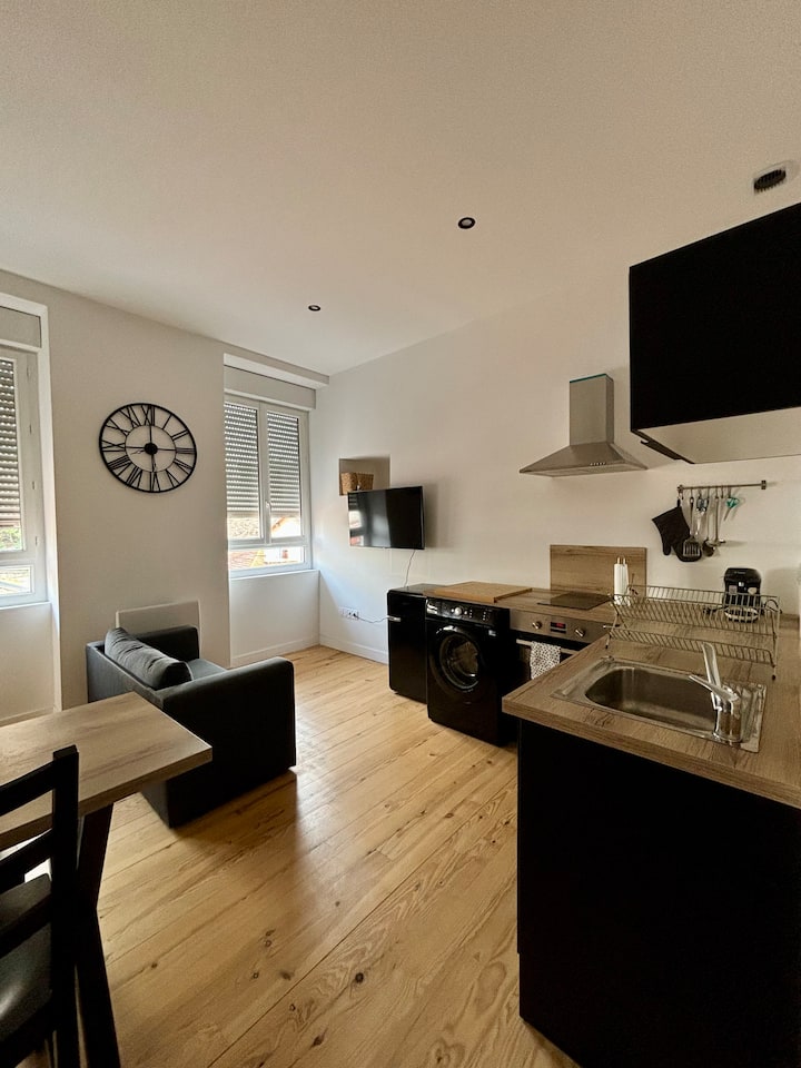 Studio Fonctionnel, Centre Ville, Rénové - 205- - Saint-Étienne