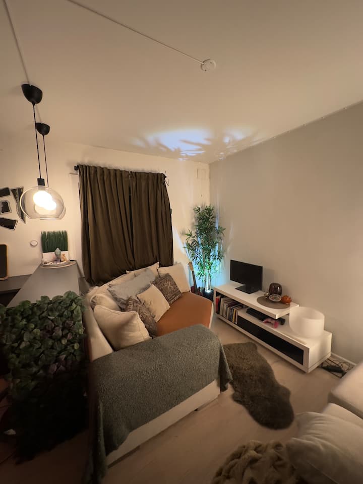 Sentral Leilighet På Torshov Til Leie - Oslo
