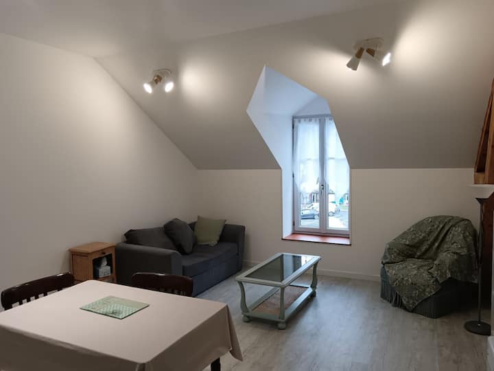 Appartement T3 Cosy - Decize
