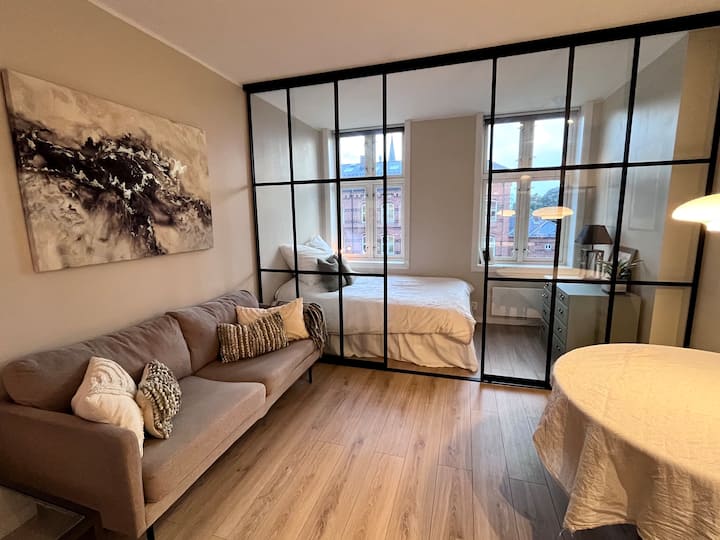 Koselig Leilighet Med Balkong - Oslo