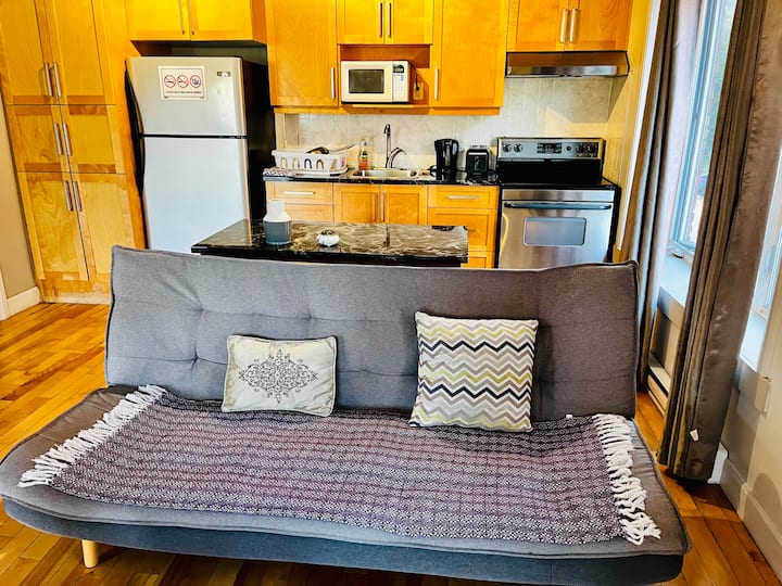 Grand 2 Chambres Apt. Downtown - Sherbrooke