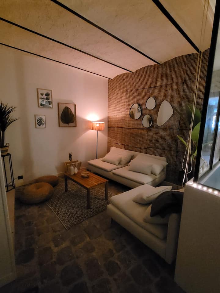 Chambre Avec Sauna Balneo Privés - Orléans