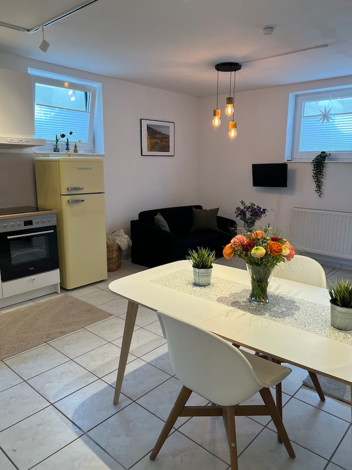 Moderne Souterrainwohnung - Heppenheim