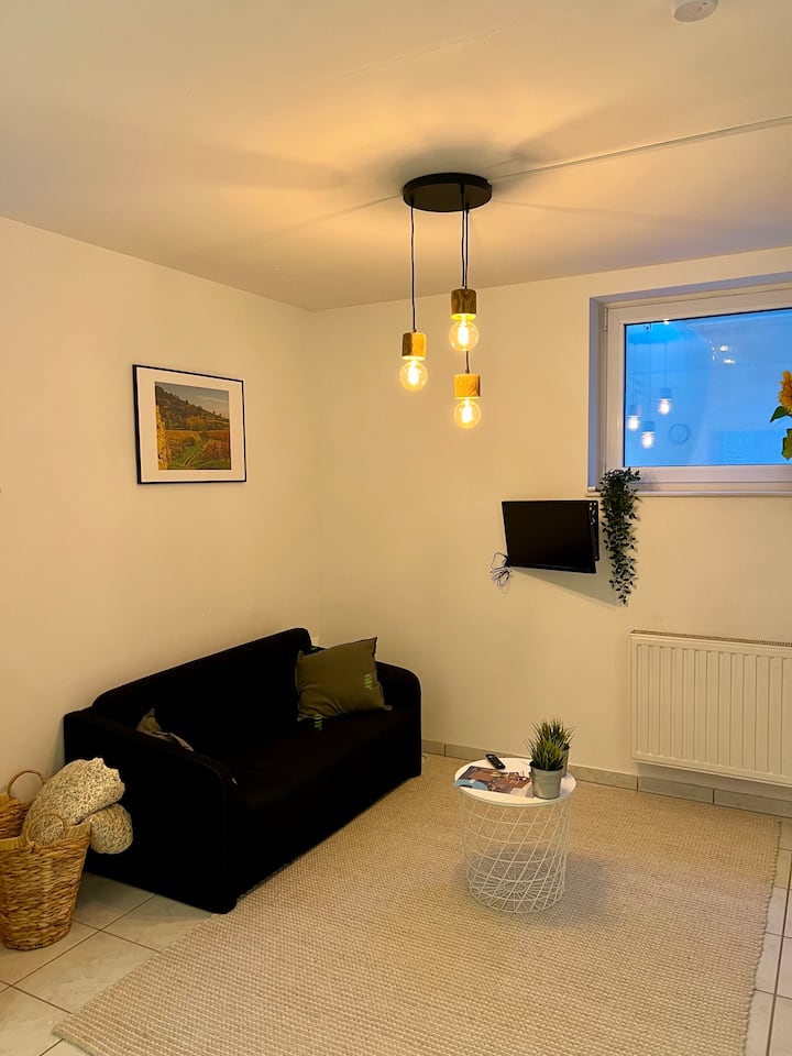 Moderne Souterrainwohnung - Bensheim