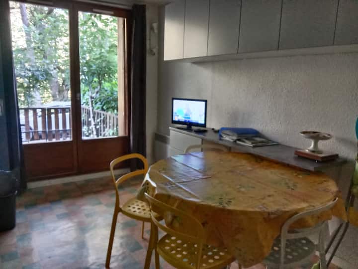 Appartement Montagne - Seyne