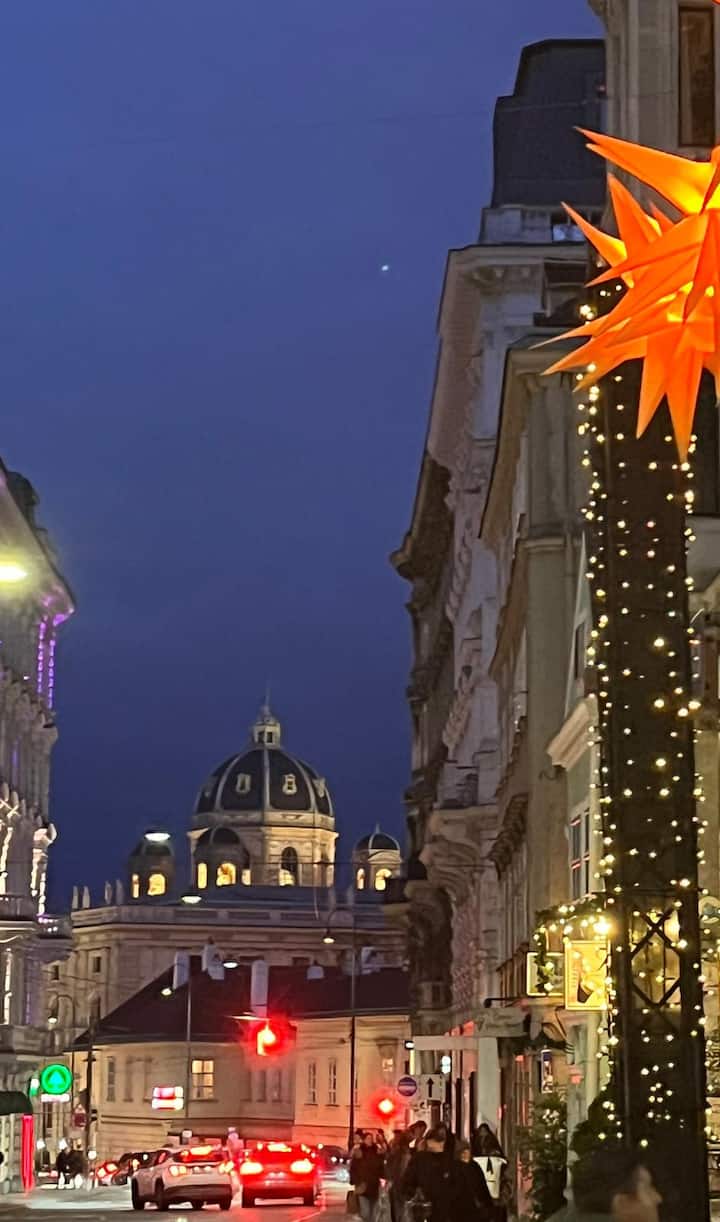 Cozy Studio In The Heart Of Vienna - Österreich