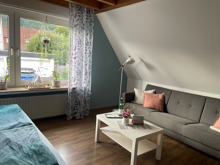 Schönes Großes Zimmer Mit Eigenem Bad + Eingang - Bad Driburg
