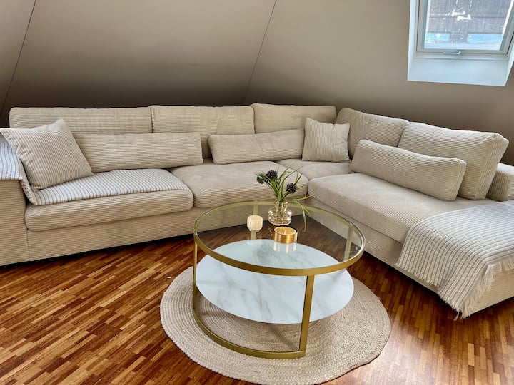 3,5 Room Penthouse With Amazing Rooftop ( - Zurigo