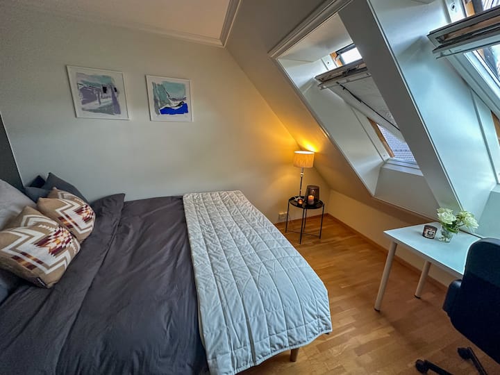 Sentral Toppleilighet I Bergen - Bergen