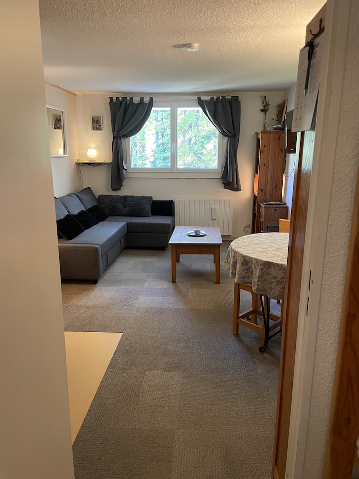 Chaleureux Studio 3/4 Personnes
(3 Adultes Max) - Crévoux