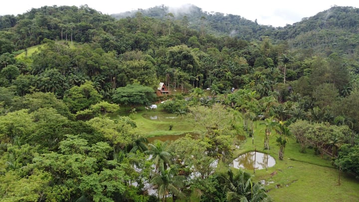 Simplicidade E Aconchego Em Meio A Natureza - Brazil