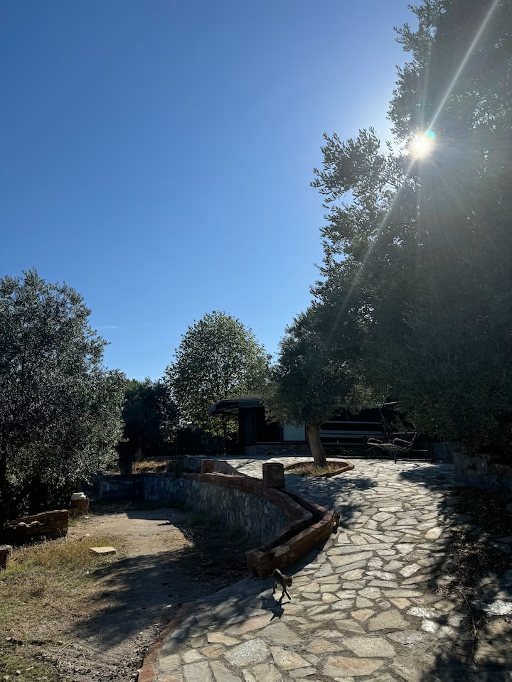 Doğayla Uyumlu, Huzurlu - Selçuk