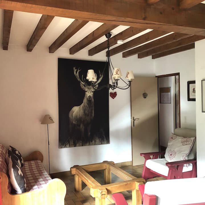 Pour 6 Personnes Dans Un Chalet Avec Grand Jardin - Saint-Gervais-les-Bains