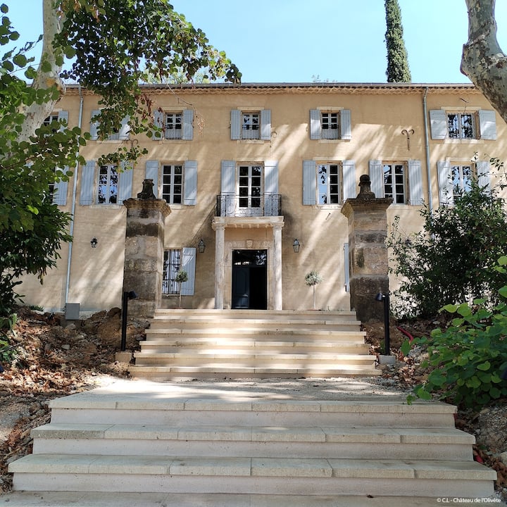 Château De L'olivète (Jusqu'à 40 Personnes) - Goudargues