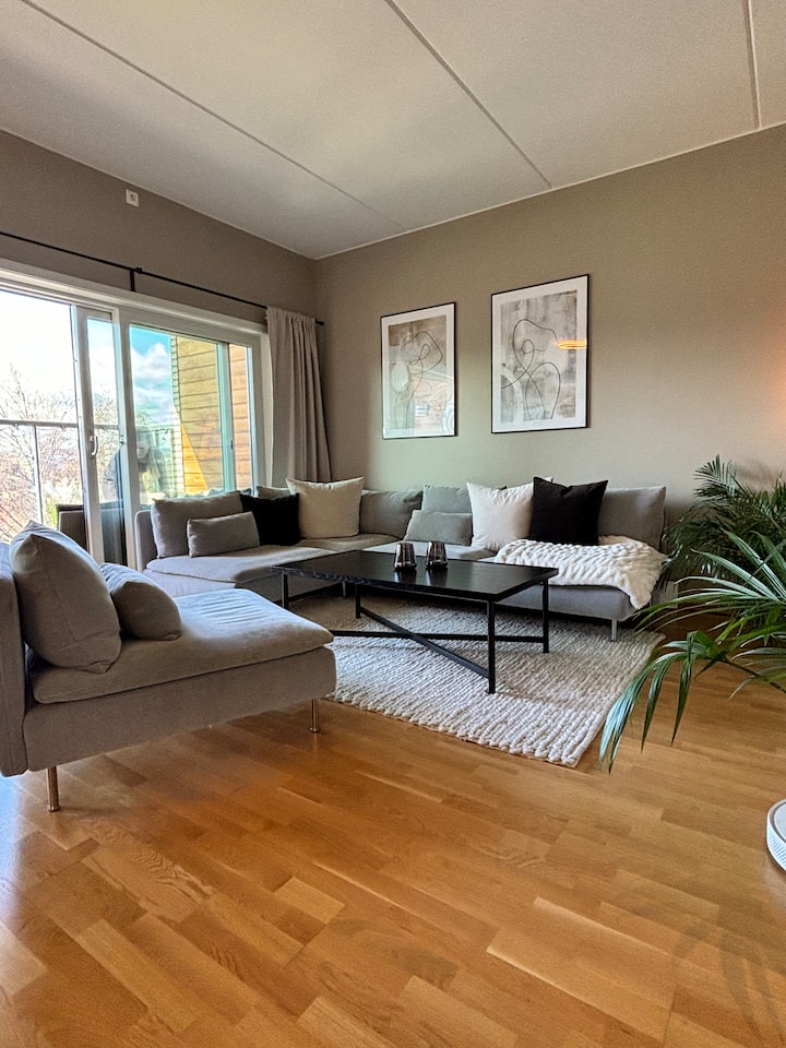 Central 2 Bedroom Apartment - Trondheim
