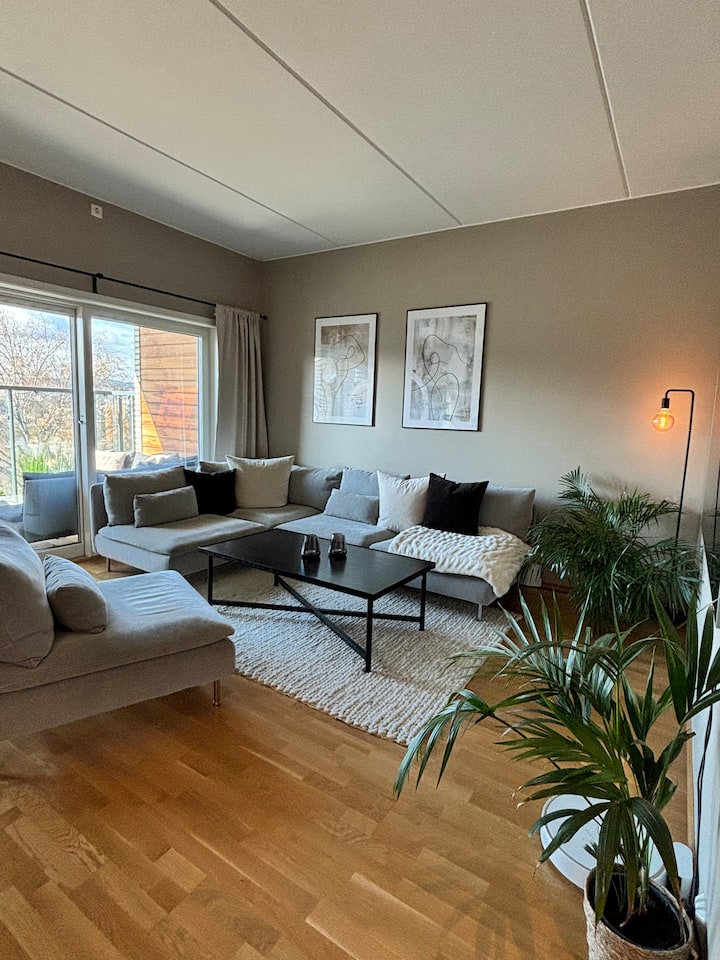 Central 2 Bedroom Apartment With Parking - Trondheim
