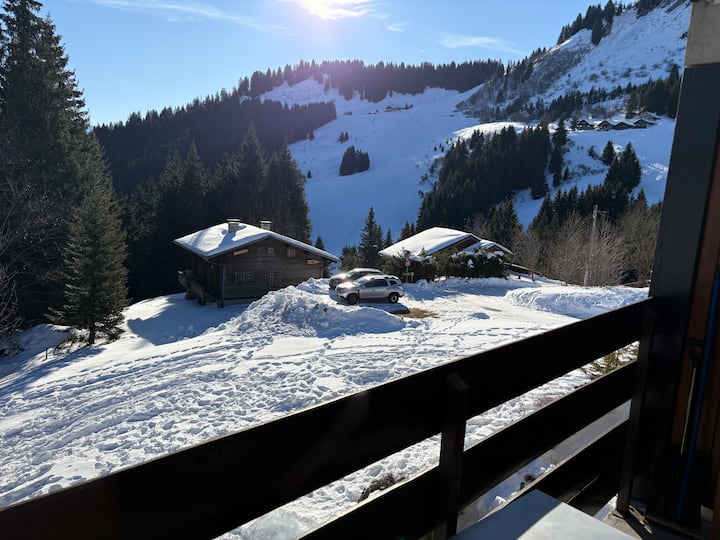 Praz De Lys Résidence Argali Studio 4 Personnes - Taninges
