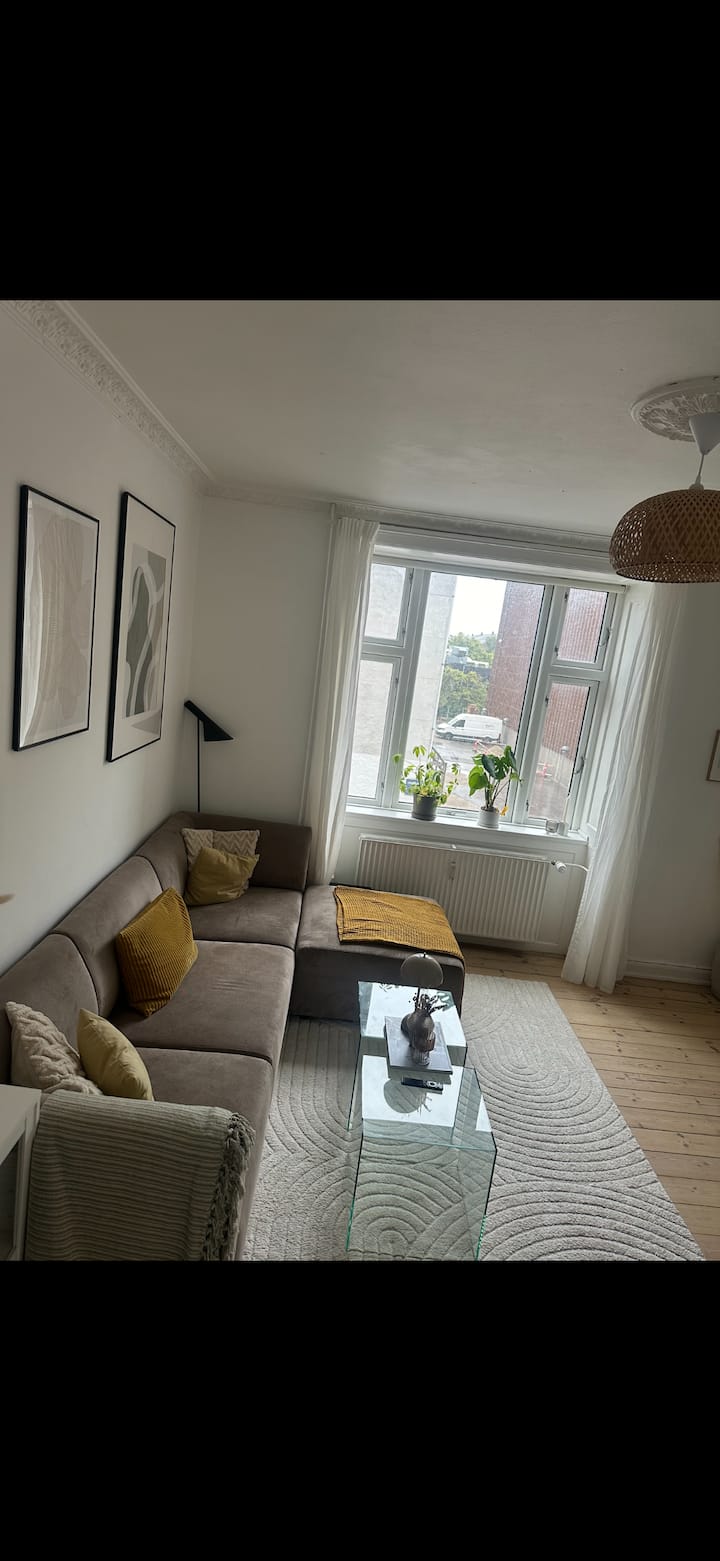 Central Beliggenhed Med Altan - Copenhagen