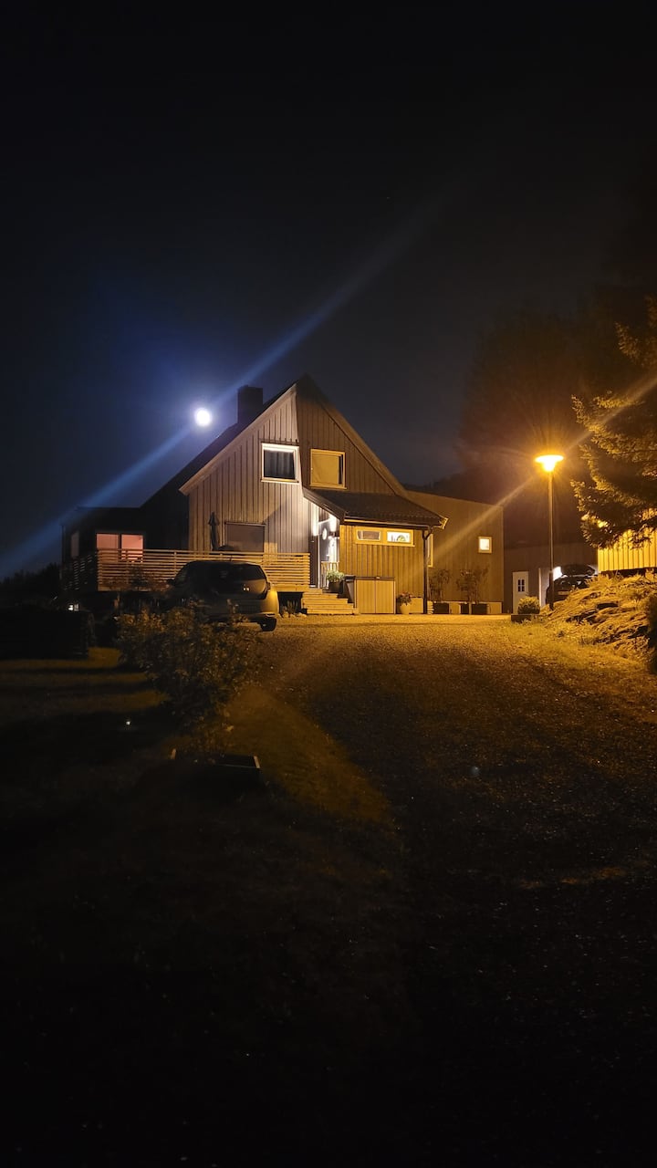 Stor Enebolig Med Treningsrom - Malvik