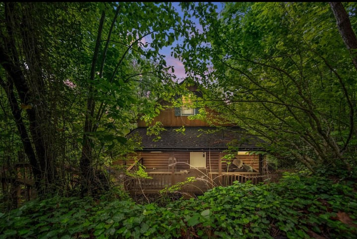 Memories At Hidden Bear Hill - Townsend, TN