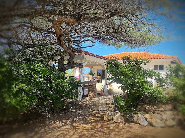 Mila’s Family Getaway - Aruba