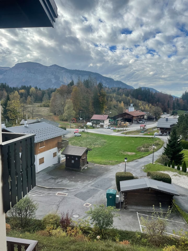 Studio Vu Montagne Carroz - Les Carroz d'Arâches