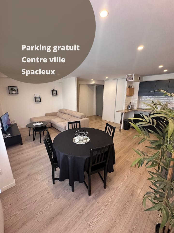 * Le Douillet / Centre Ville / Parking Gratuit * - Pau, Francia