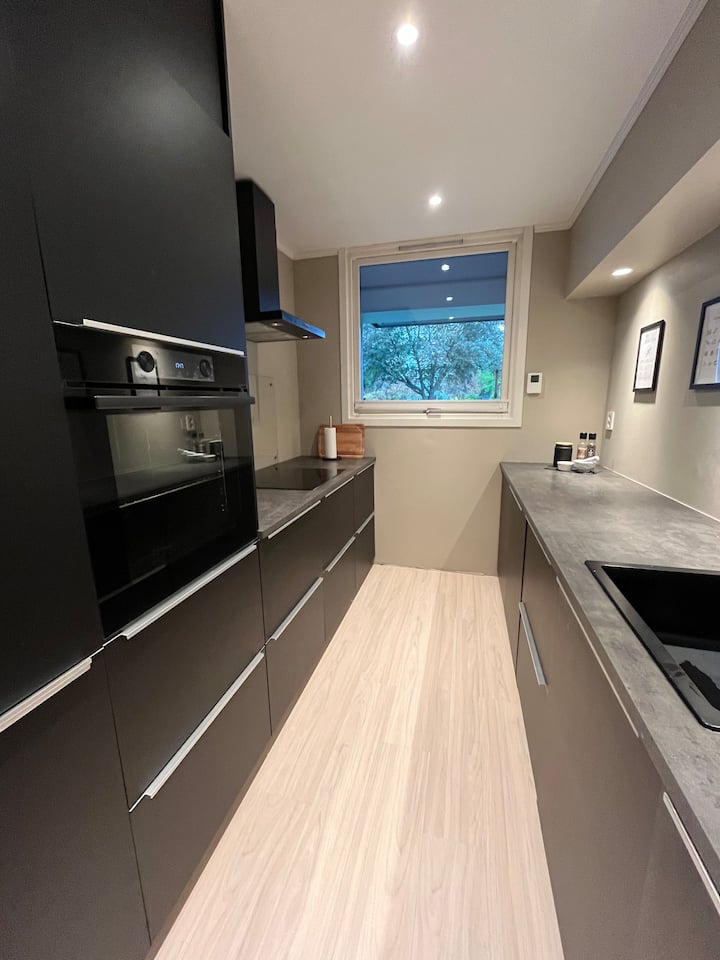 Nyrenovert Leilighet Med Stor Terrasse - Trondheim