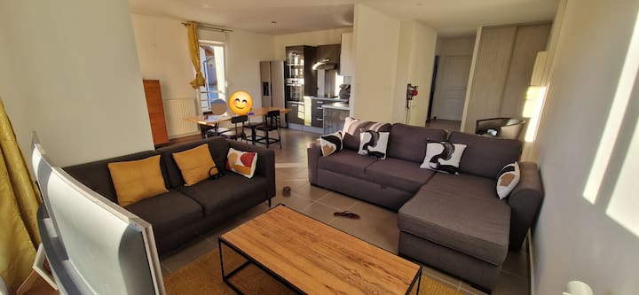 Magnifique Appartement - Ferney-Voltaire