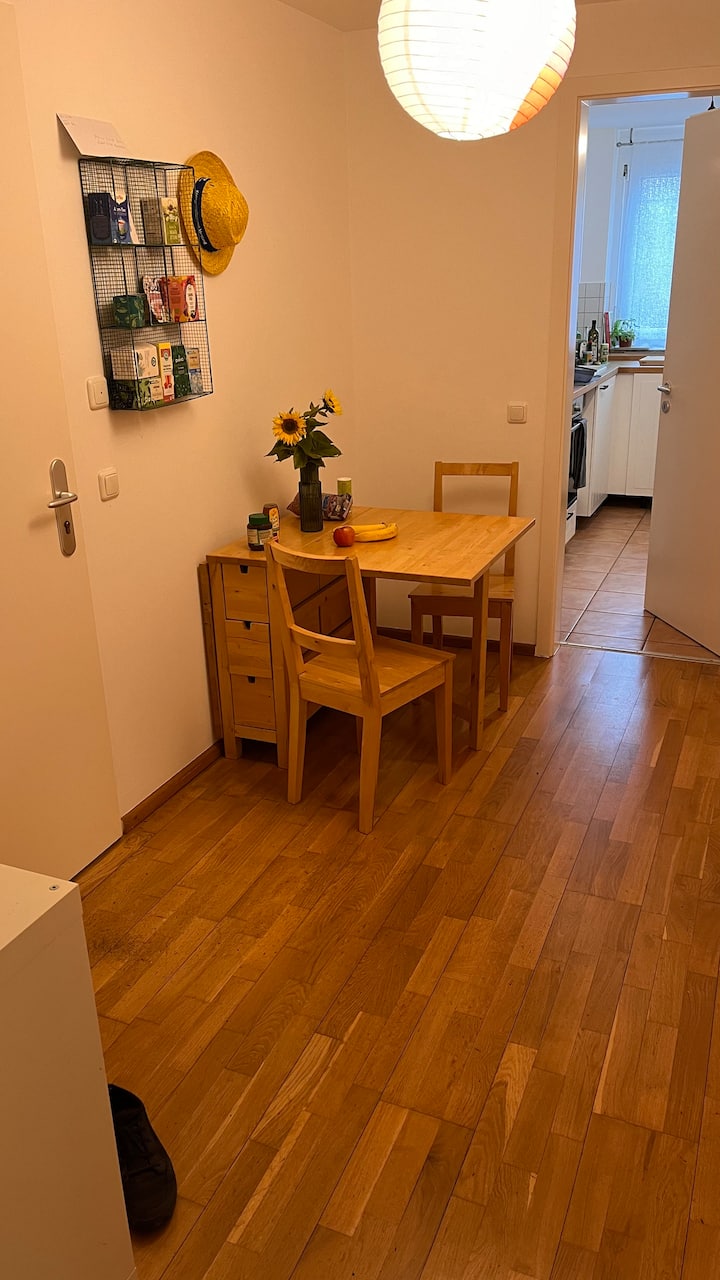 Schöne Wohnung In Maxvorstadt - Munich