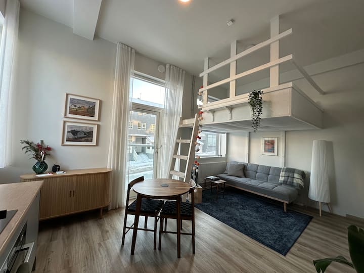 Charming Studio Loft - Reykjavik
