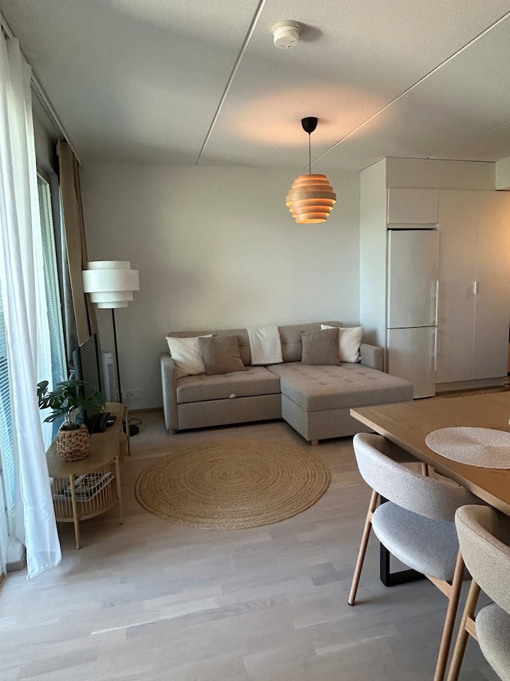 Kimallus Kaksio Saunalla Jyväsjärven Rannalla+ap - Finland