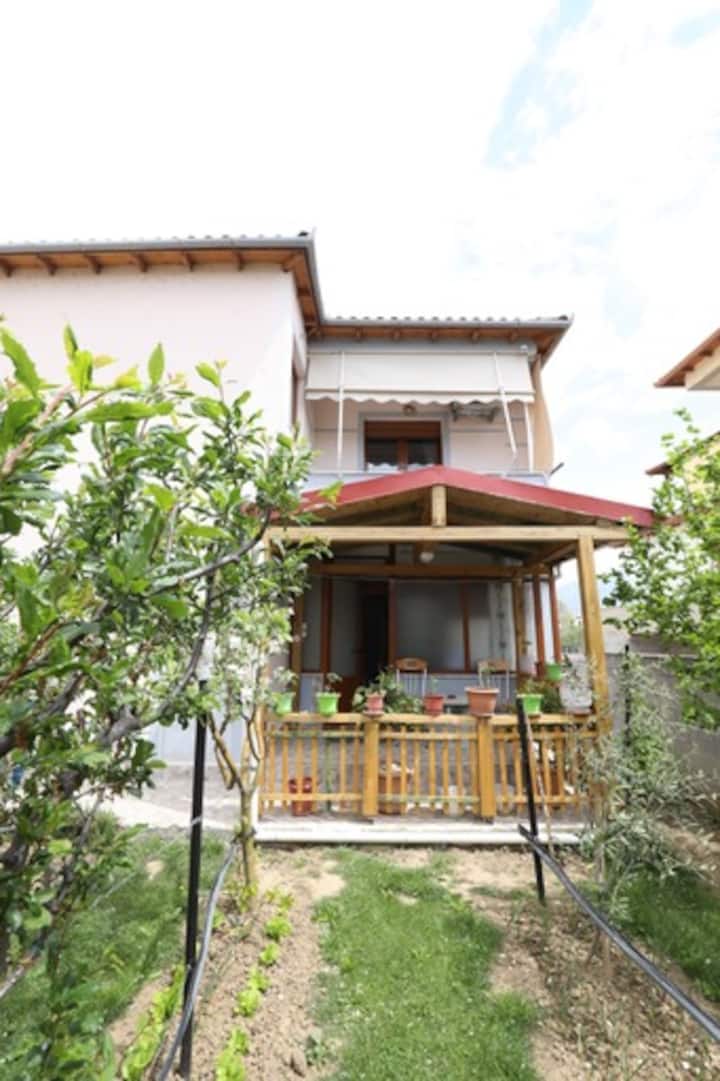 Gazoniere Nr 1 - Tushemisht