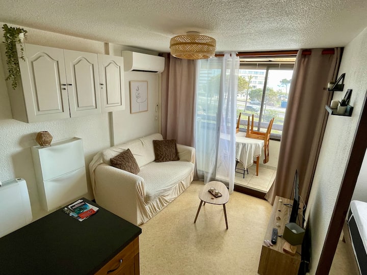 Charmant T2 Vue Mer Climatisé + Parking Privé! - Saint-Cyprien