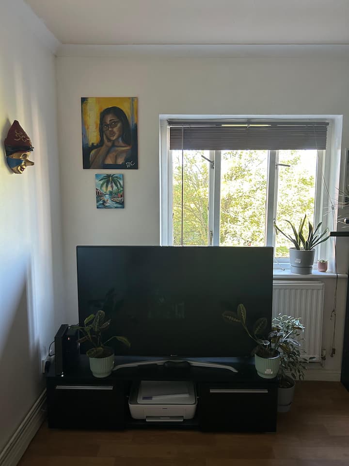 Stylish Studio Flat - Epsom