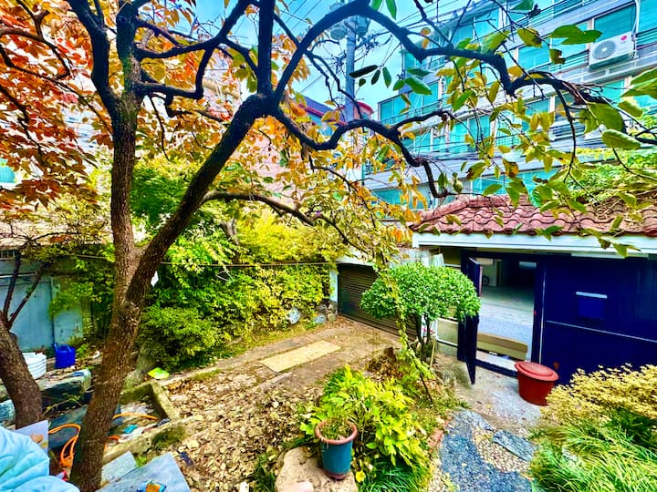 [New] Hongdae Gardensuite/독채/ 망원Stn 5분. - Seoul