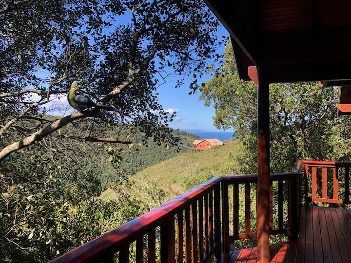 Six On Imbali | Cozy Cabin In Ballots Bay - Wilderness